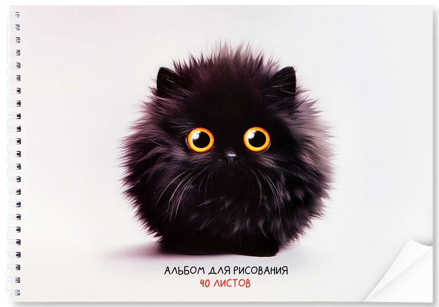 Альбом детский для рисования "1 сентября: Черный пушистик" на пружине, формат А4, 40 листов, обложка 200 г/м2, бумага 100 г/м2