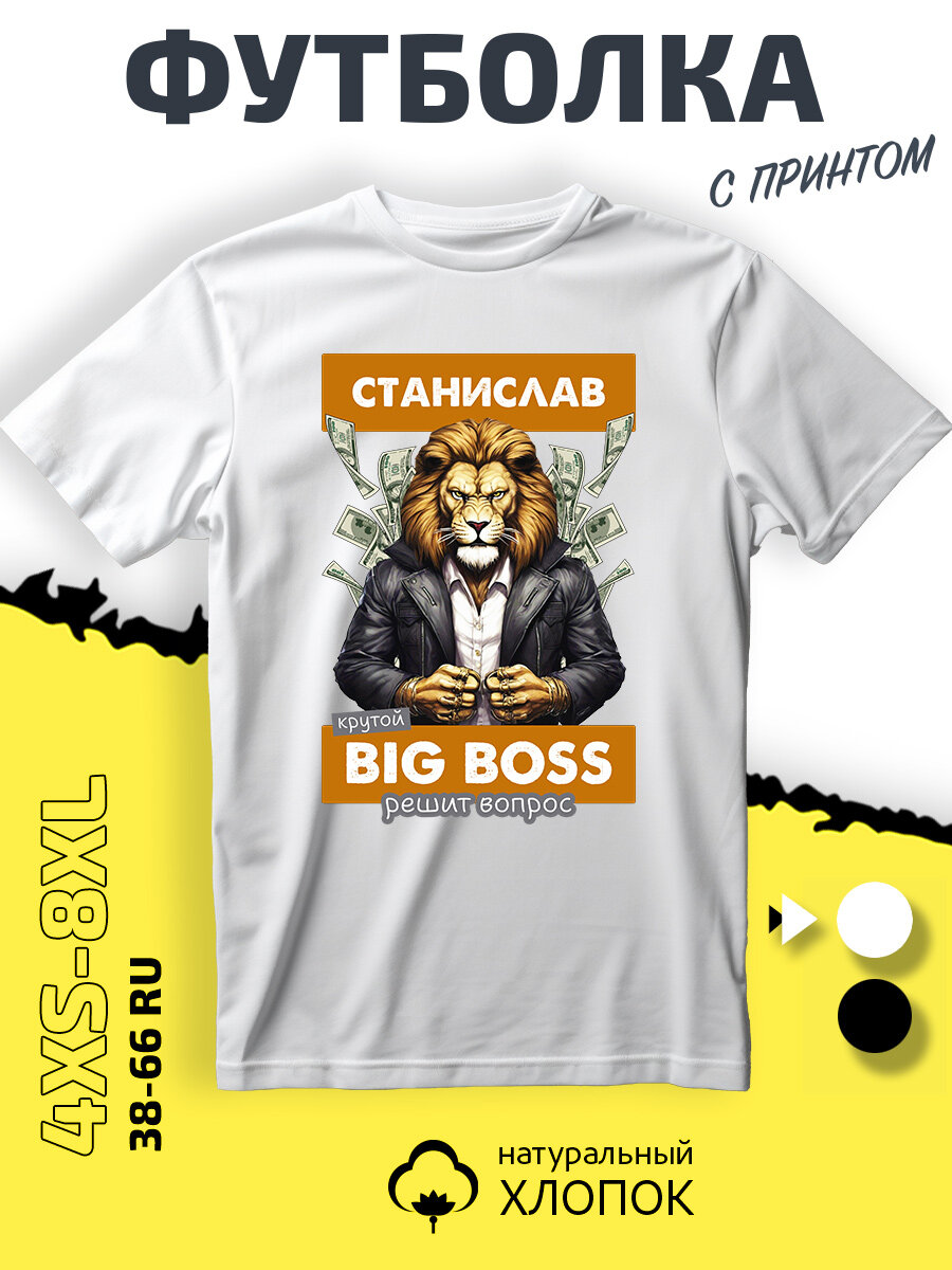 Футболка Станислав Стас решит вопрос