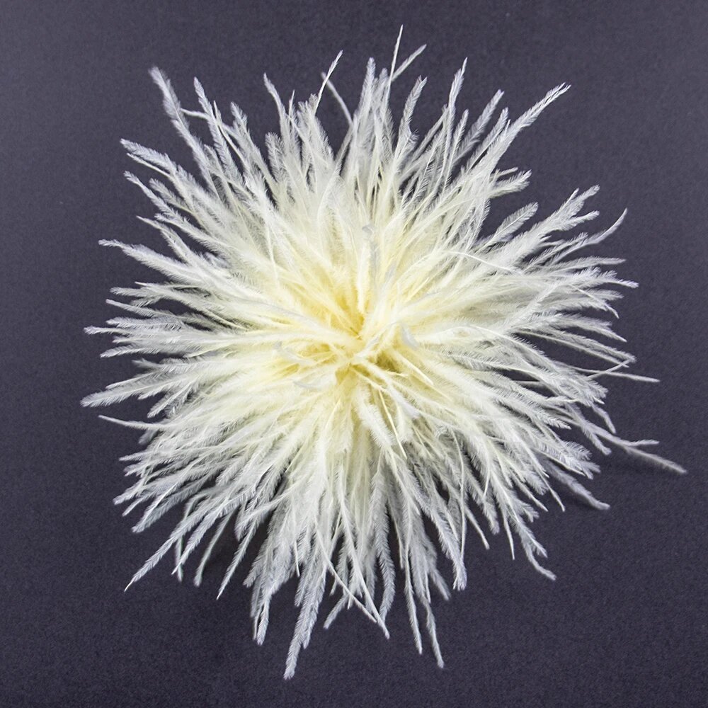 Брошь из страусиных перьев DailyBesdeals Белый, Beige