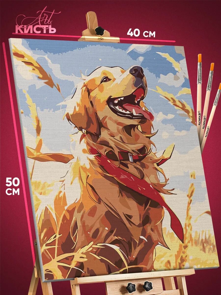 Картина по номерам на холсте с подрамником 40х50 Собака Лабрадор в поле