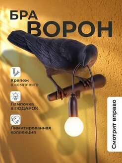 Бра настенное «Ворон» – стильный светильник для спальни, гостиной, прихожей (черная смола, LED, 220В)