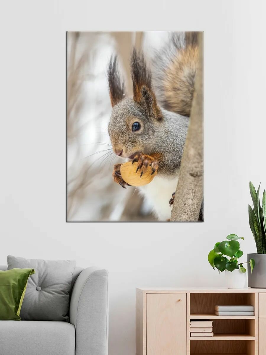 Картина на стену "Дикие животные", 30х40 см