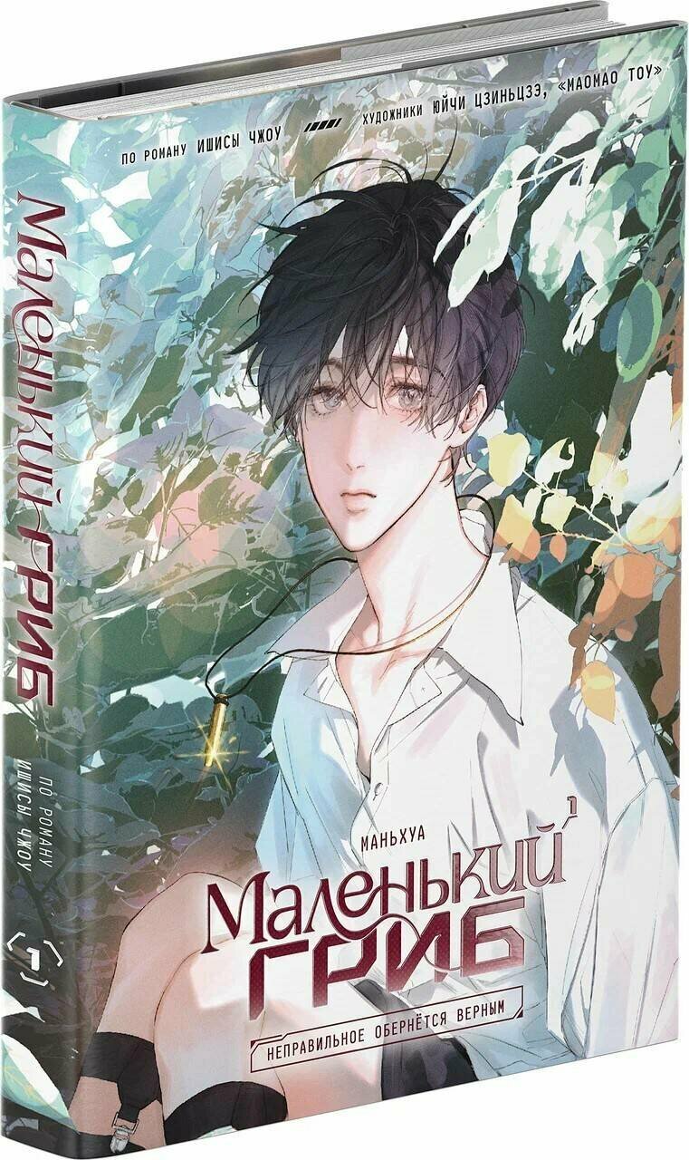 Ишисы Ч. Маленький гриб. Маньхуа. Том 1