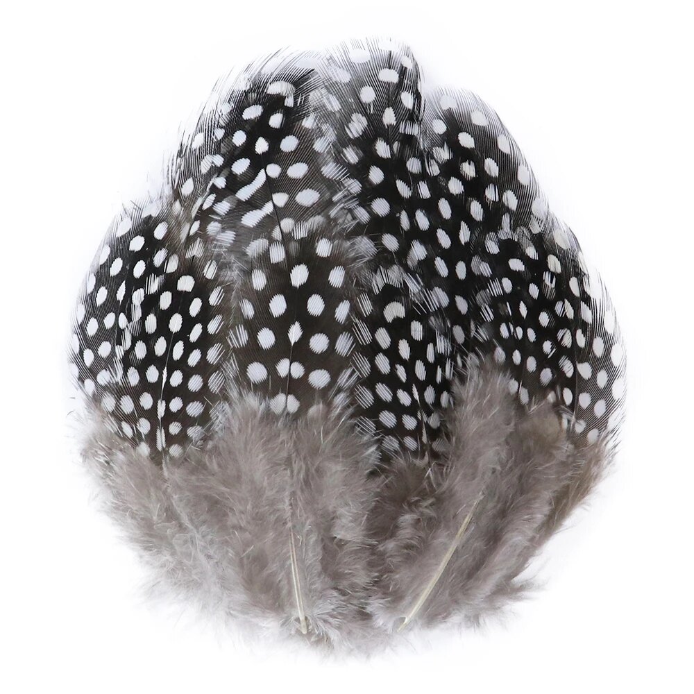 Петушиные перья фазана DailyBesdeals 5-8 см 50 шт E