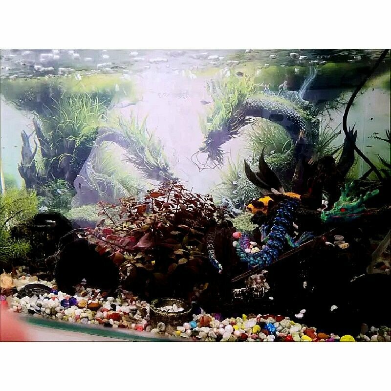 Фон для аквариума Декорации обои, водный травяной дракон 100x50см