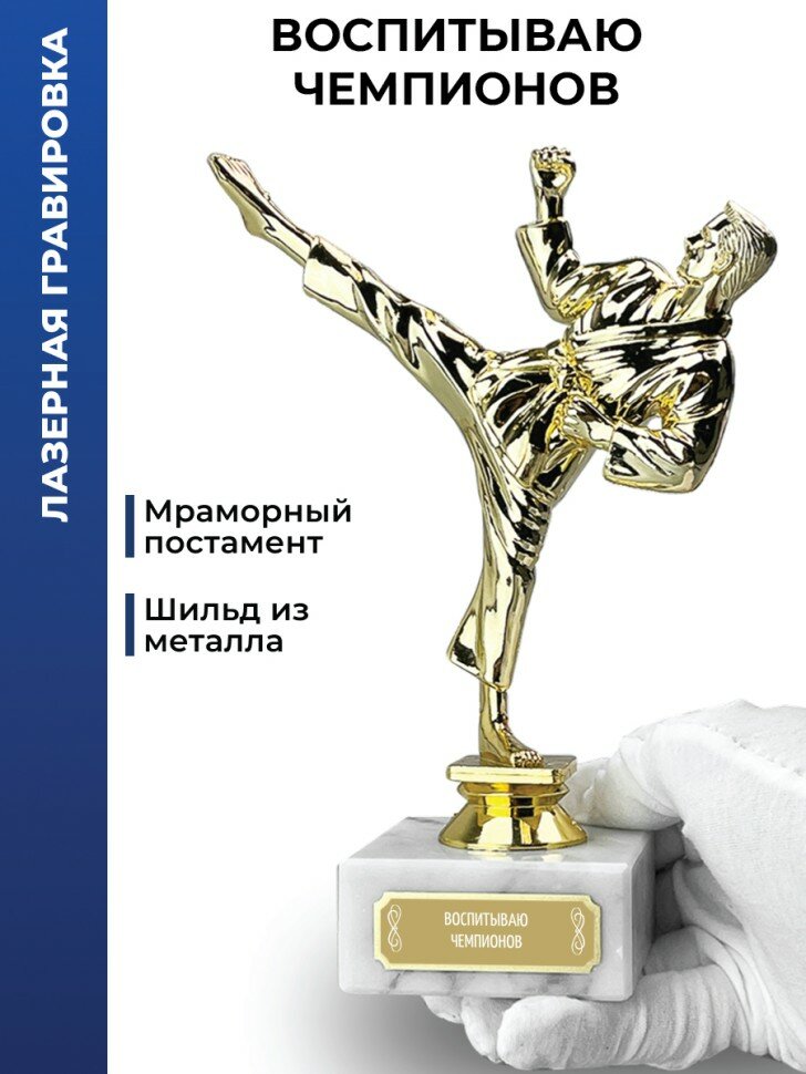 Статуэтка Карате "Воспитываю чемпионов" (19,5 см)