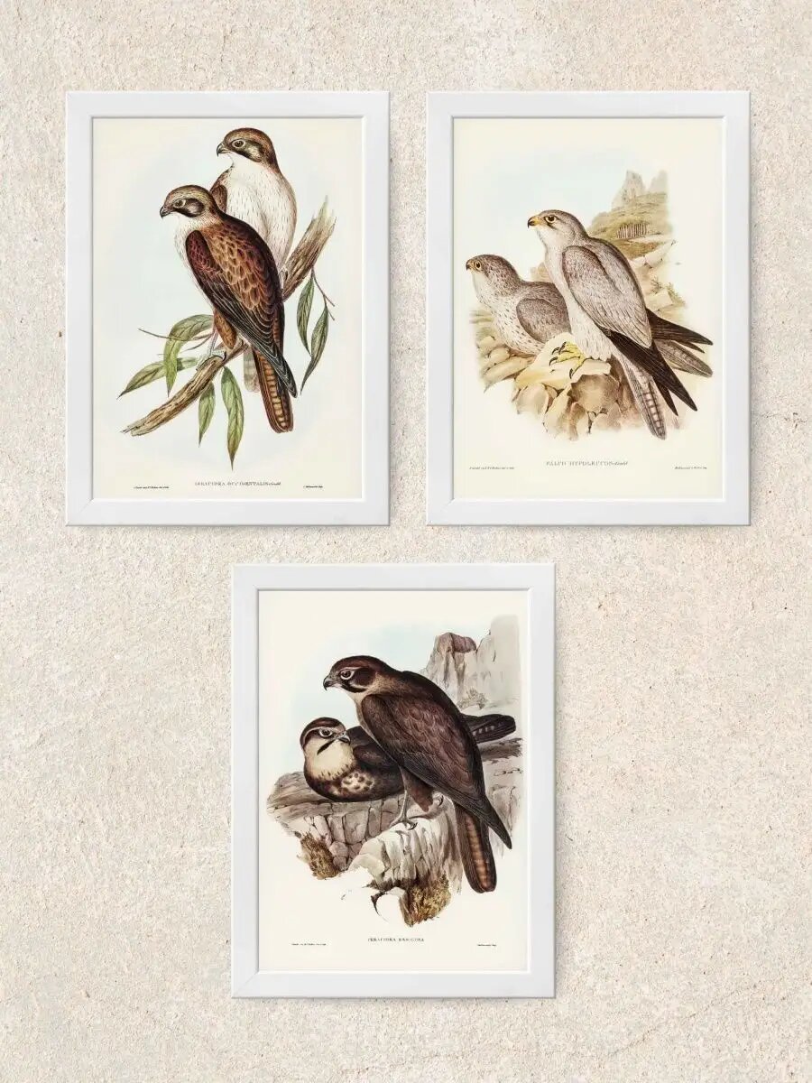 Набор интерьерных постеров Ретро Птицы, А3 (плакат)