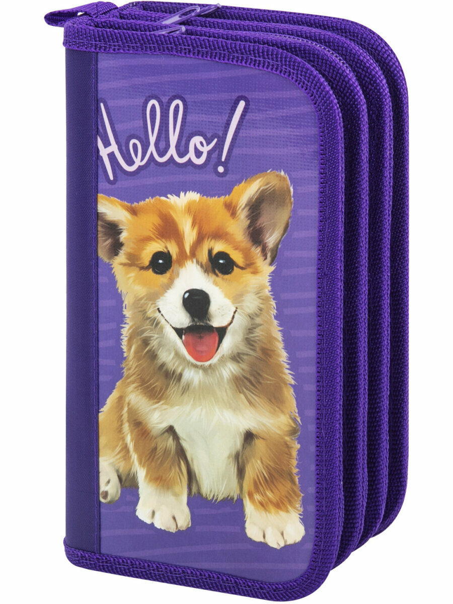 Пенал школьный для ручек, карандашей Пифагор, 3 отделения, ламинированный картон, Little Dog, 19х11 см, 229214