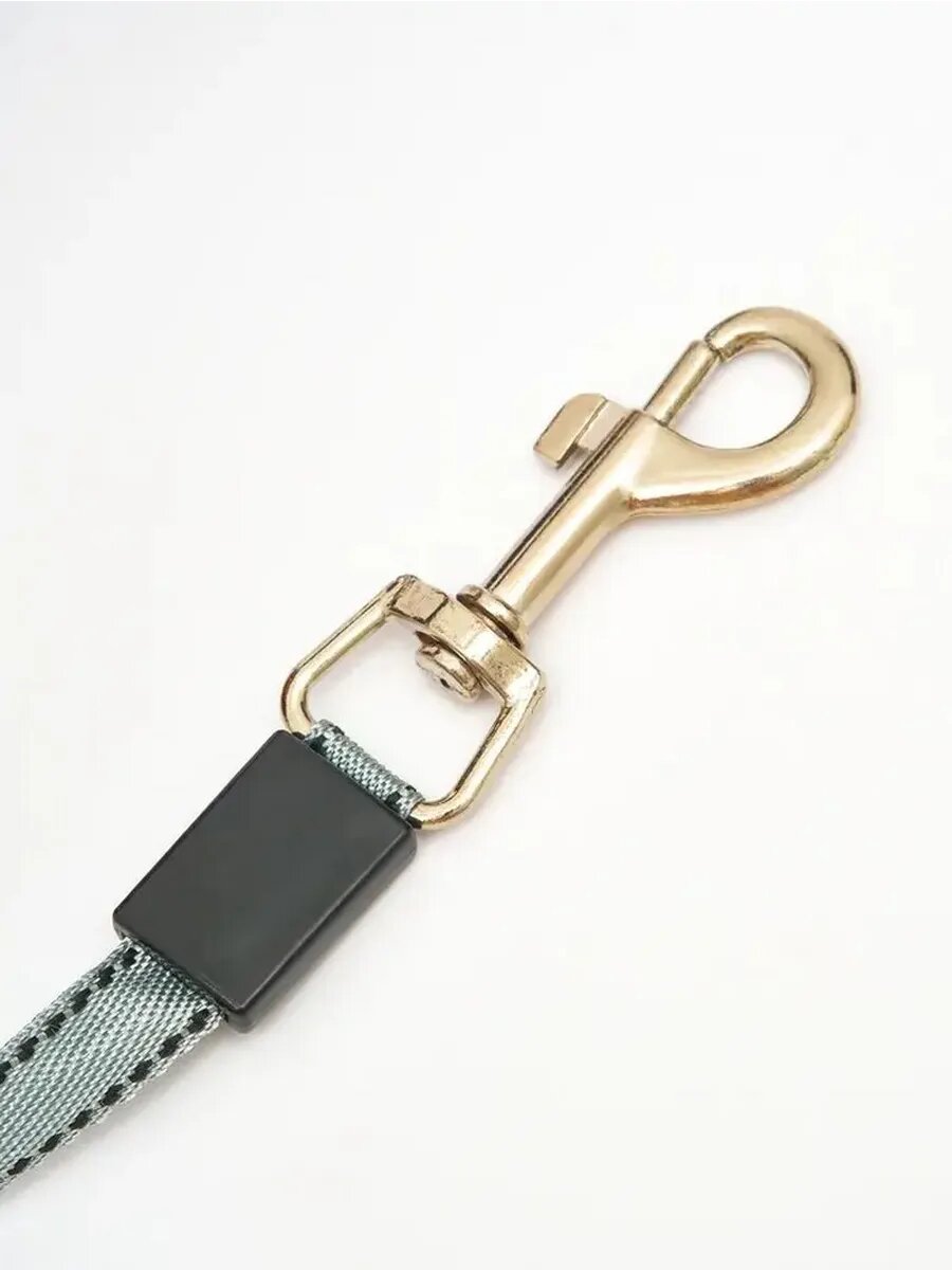 Практичный рулетка-поводок с контейнером