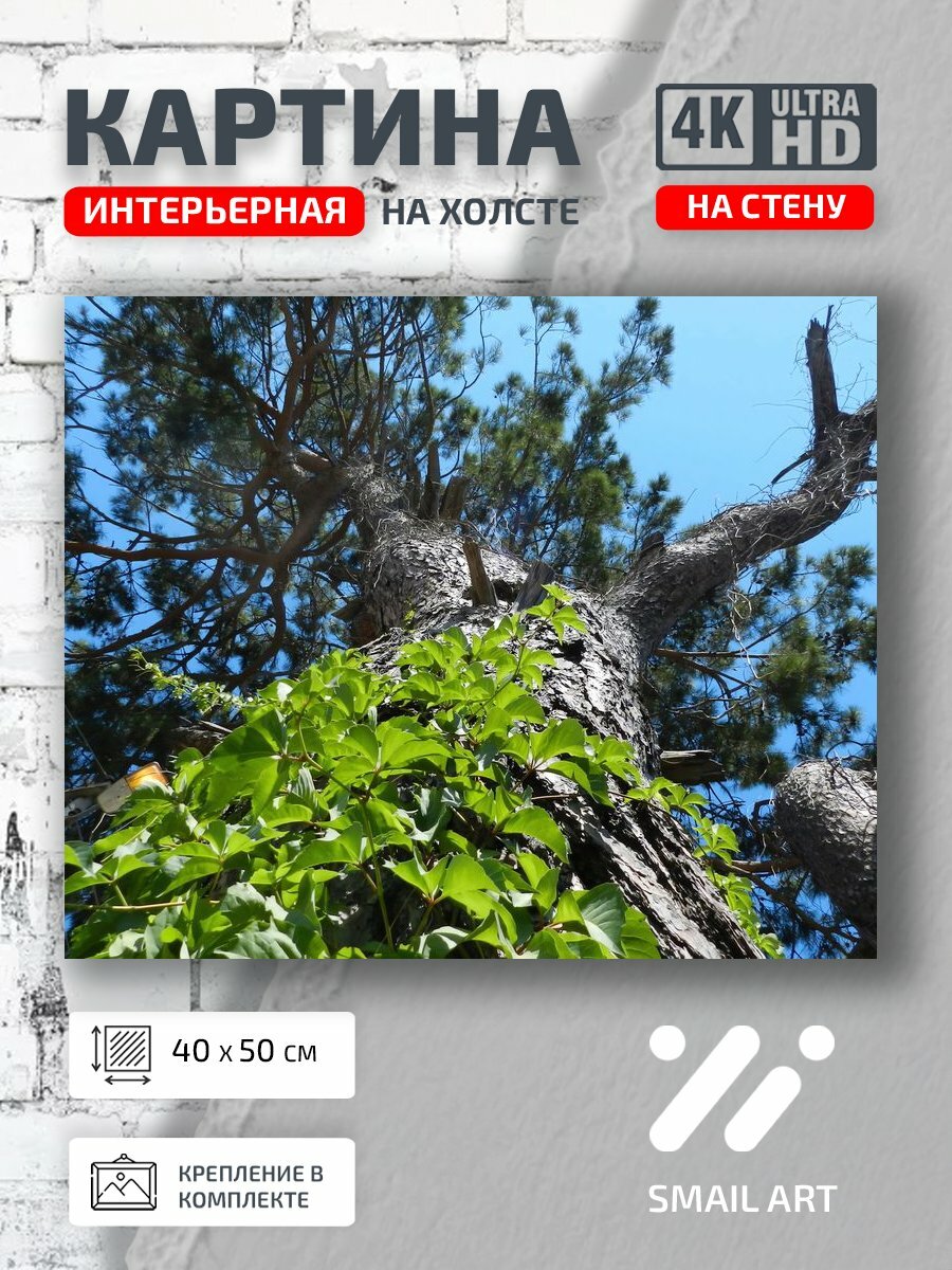 Картина на холсте интерьерная 40 на 50 на стену Дереве Landscape для офиса пейзаж интерьер