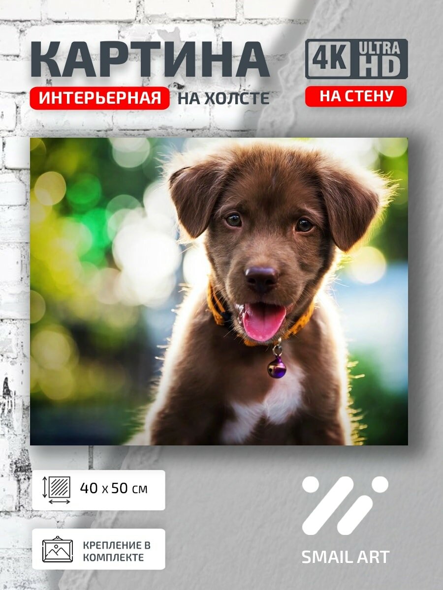 Картина на холсте интерьерная 40 на 50 на стену Животные Щенок для кабинета атмосфера