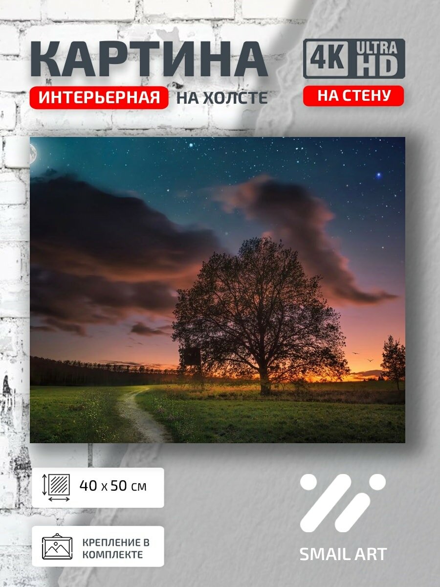 Картина на холсте интерьерная 40 на 50 на стену звёздное небо для спальни атмосфера