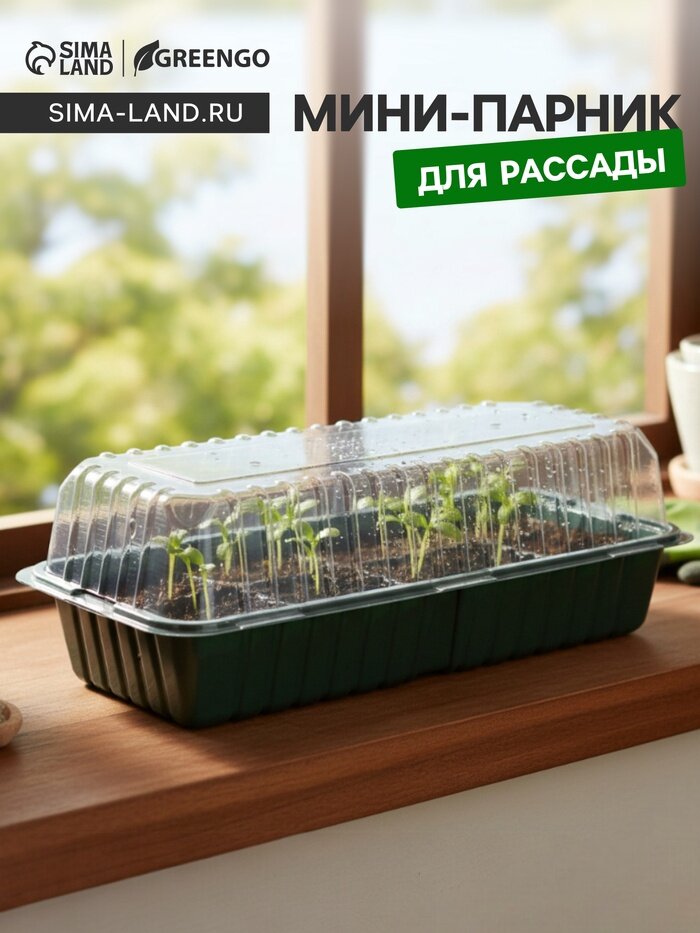 Мини-парник для рассады, 39×17.5×12 см, без вставок, тёмно-зелёный, пластик, Greengo, 5 шт.