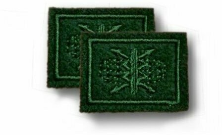 Петлицы РТВ ВВС, полевые. С липучкой. Размер 35x25 мм по вышивке.