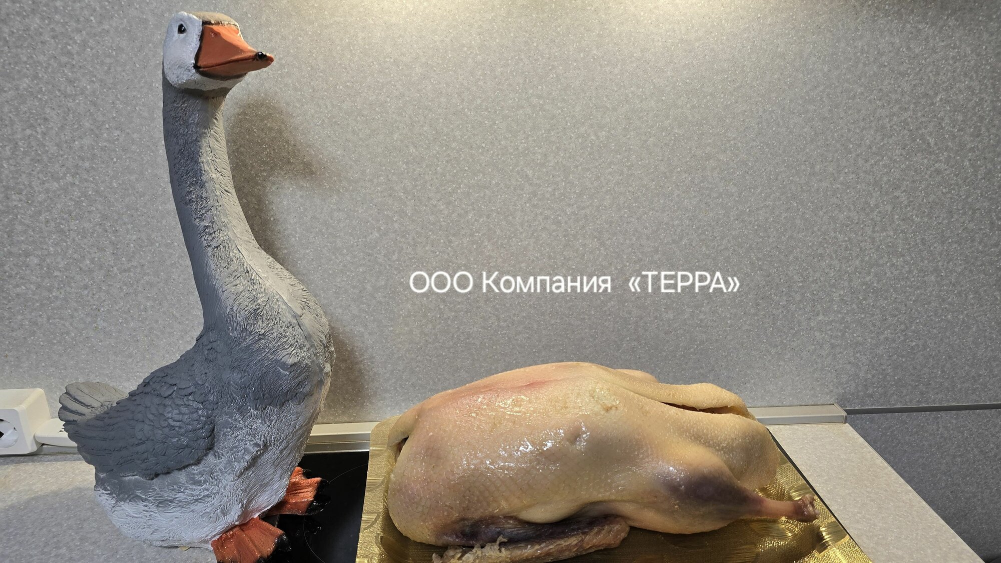 Вяленые гуси 2 кг