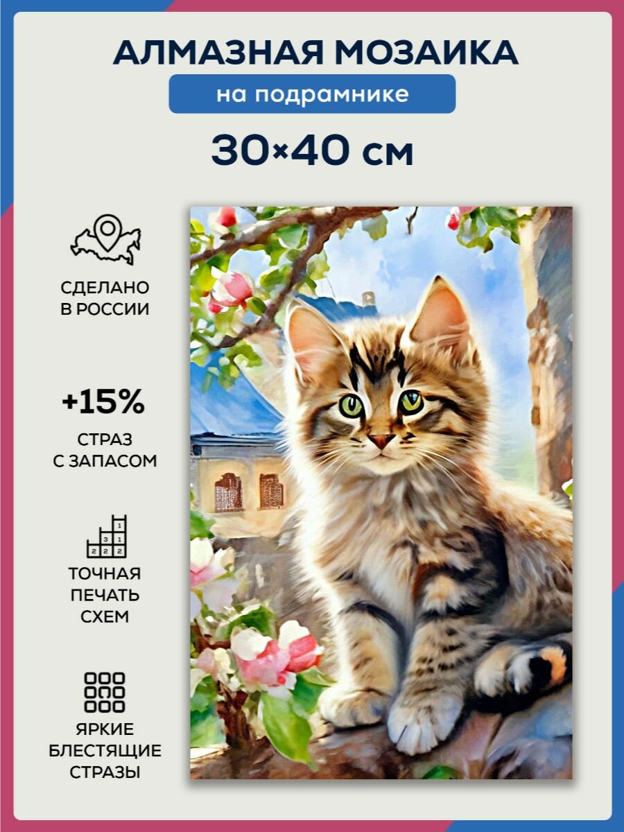 Алмазная мозаика 30x40 Котенок на ветке на подрамнике