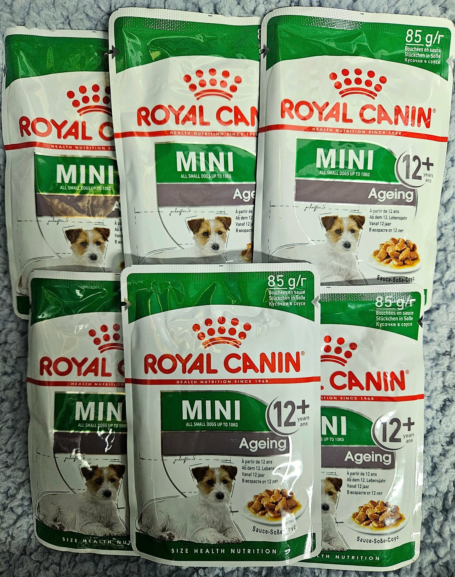 Влажный корм Royal Canin Mini Aging 8 + для взрослых пожилых собак, соус, 85 г, 6 штук