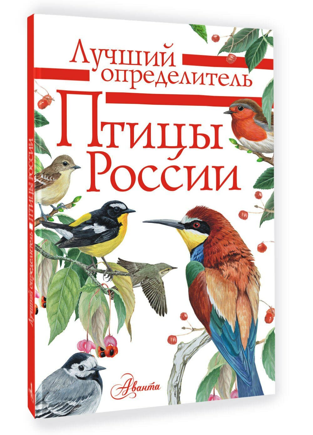 Птицы России — фото 1