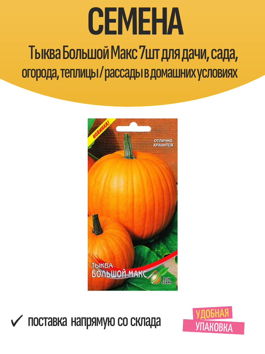 Семена Тыква Большой Макс 7шт для дачи, сада, огорода, теплицы / рассады в домашних условиях