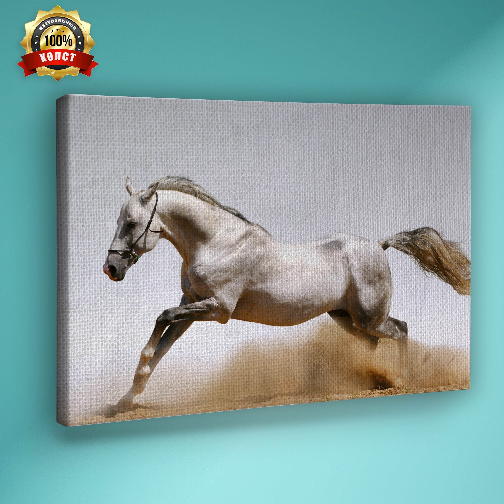 Картина "Белая Лошадь" 30*40