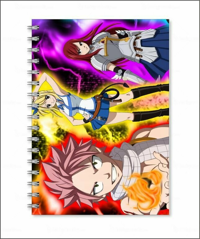 Тетрадь Хвост Феи, Fairy Tail №4