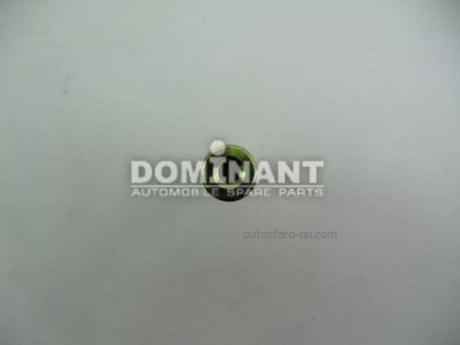 DOMINANT HY5801612F300 Направляющая суппорта, HY5801612F300