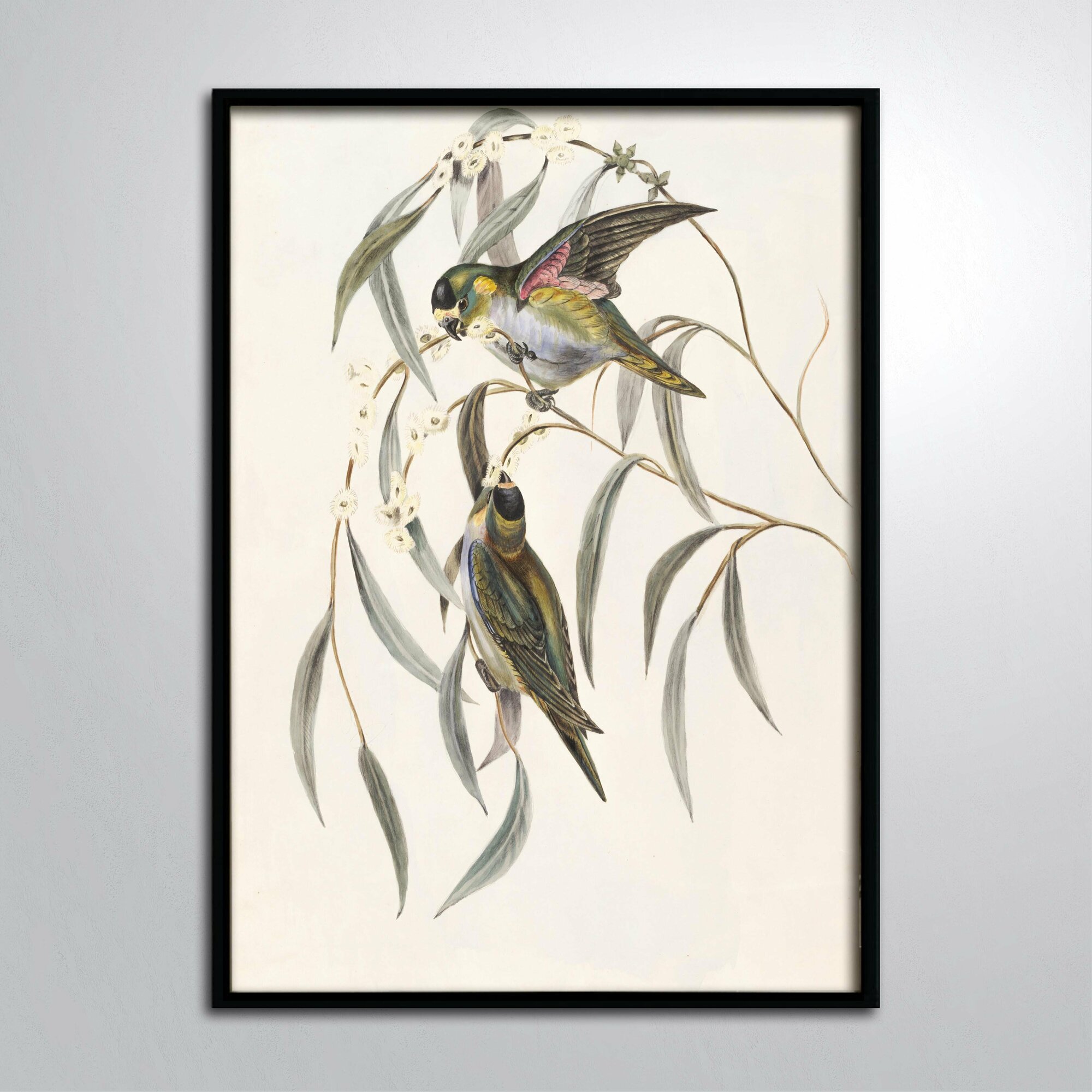 Постер без рамы/Постер для интерьера/Современное искусство Гобелен Пара Птиц Рисунок