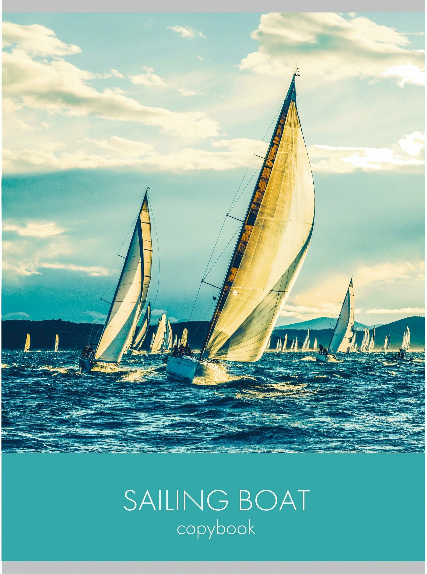 Тетрадь для конспектов 80 листов, А4, Под парусом (Т4804733)