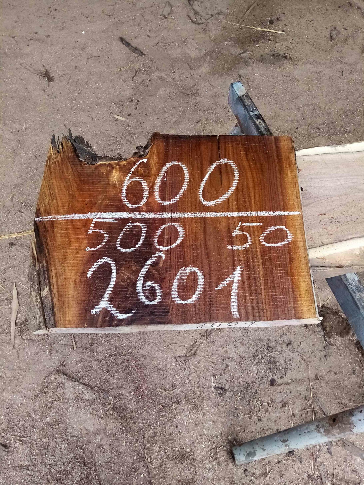 Слэб дерева Орех черный американский №2601, 5*60*50 см, доклес