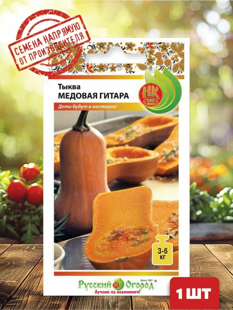 Тыква Медовая гитара