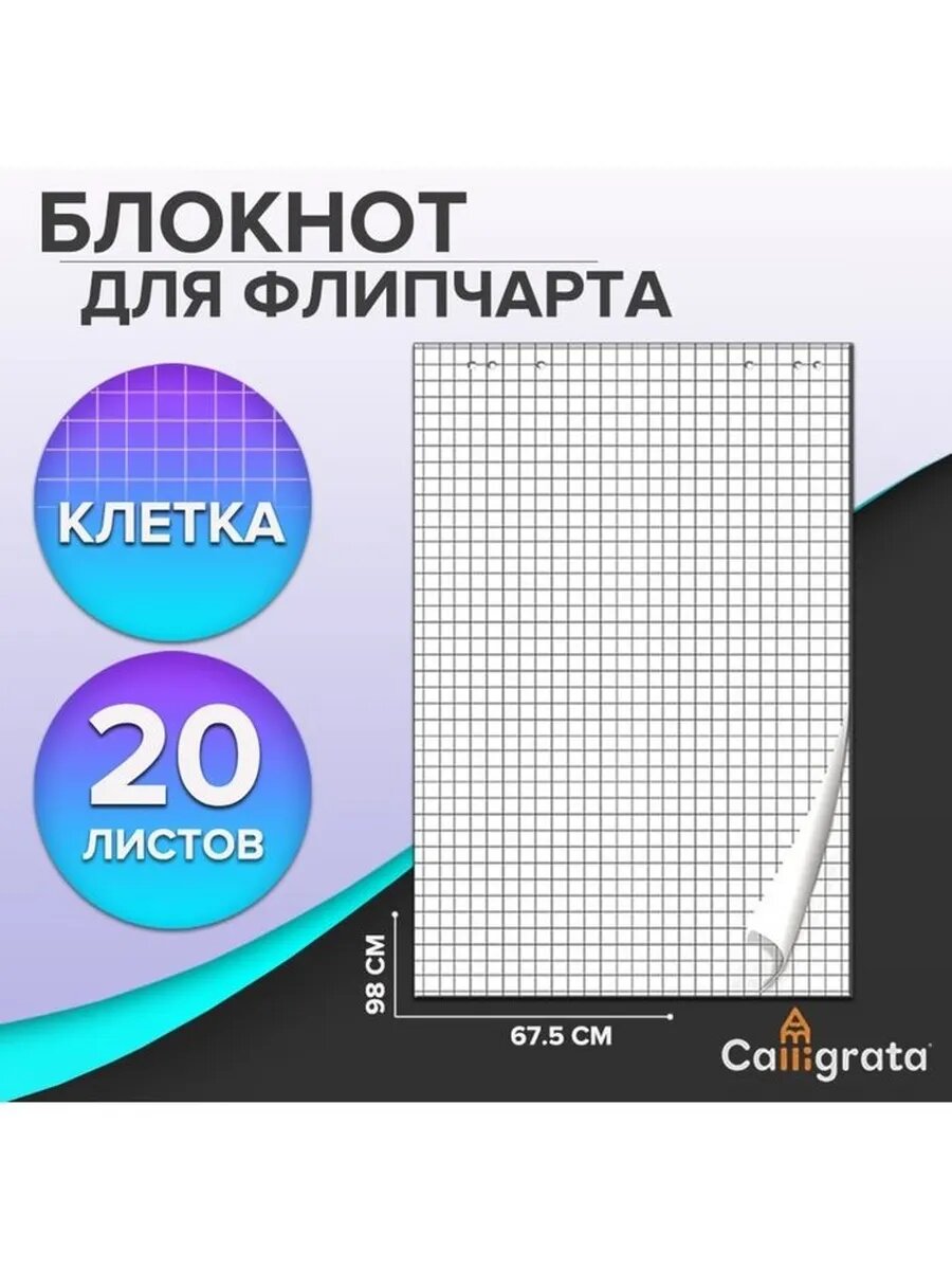 Блокнот для флипчарта в клетку Calligrata, 67.5 х 98 см, 20