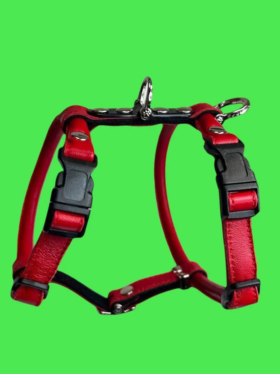 Шлейка Dogbond круглая для шпица из кожи