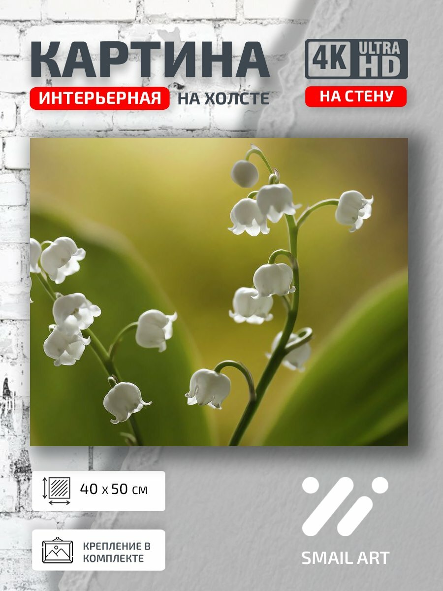 Картина на холсте интерьерная 40 на 50 на стену Белые Mood для офиса атмосфера интерьер
