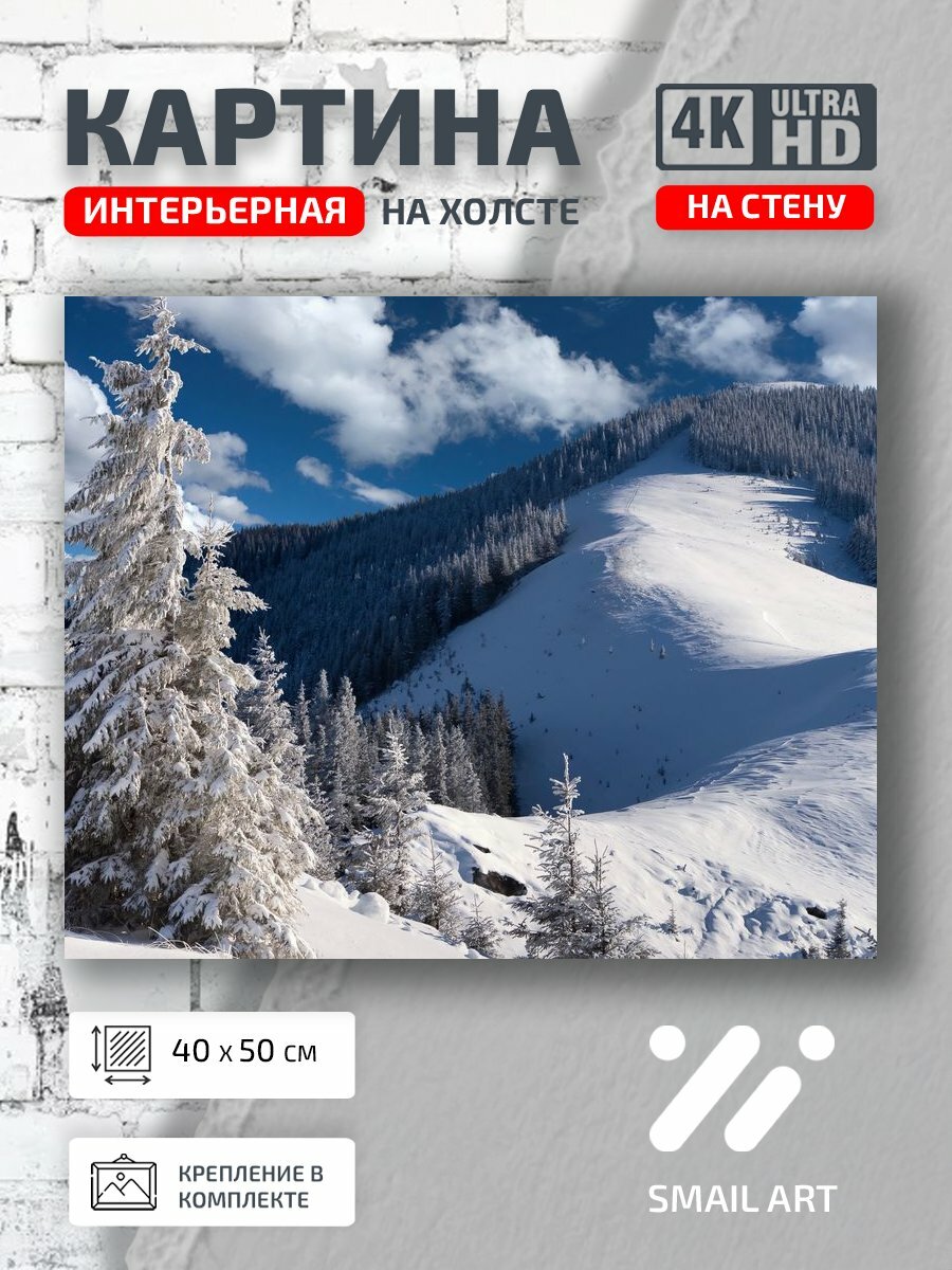 Картина на холсте интерьерная 40 на 50 на стену Зима mountain для спальни пейзаж интерьер