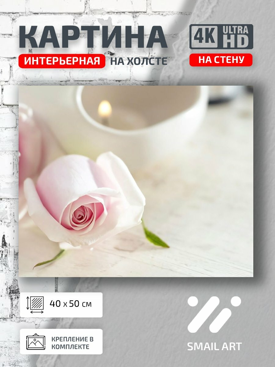 Картина на холсте интерьерная 40 на 50 на стену Роза Landscape для кабинета пейзаж интерьер