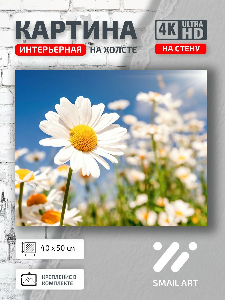 Картина на холсте интерьерная 40 на 50 на стену Ромашки Landscape для спальни пейзаж декор