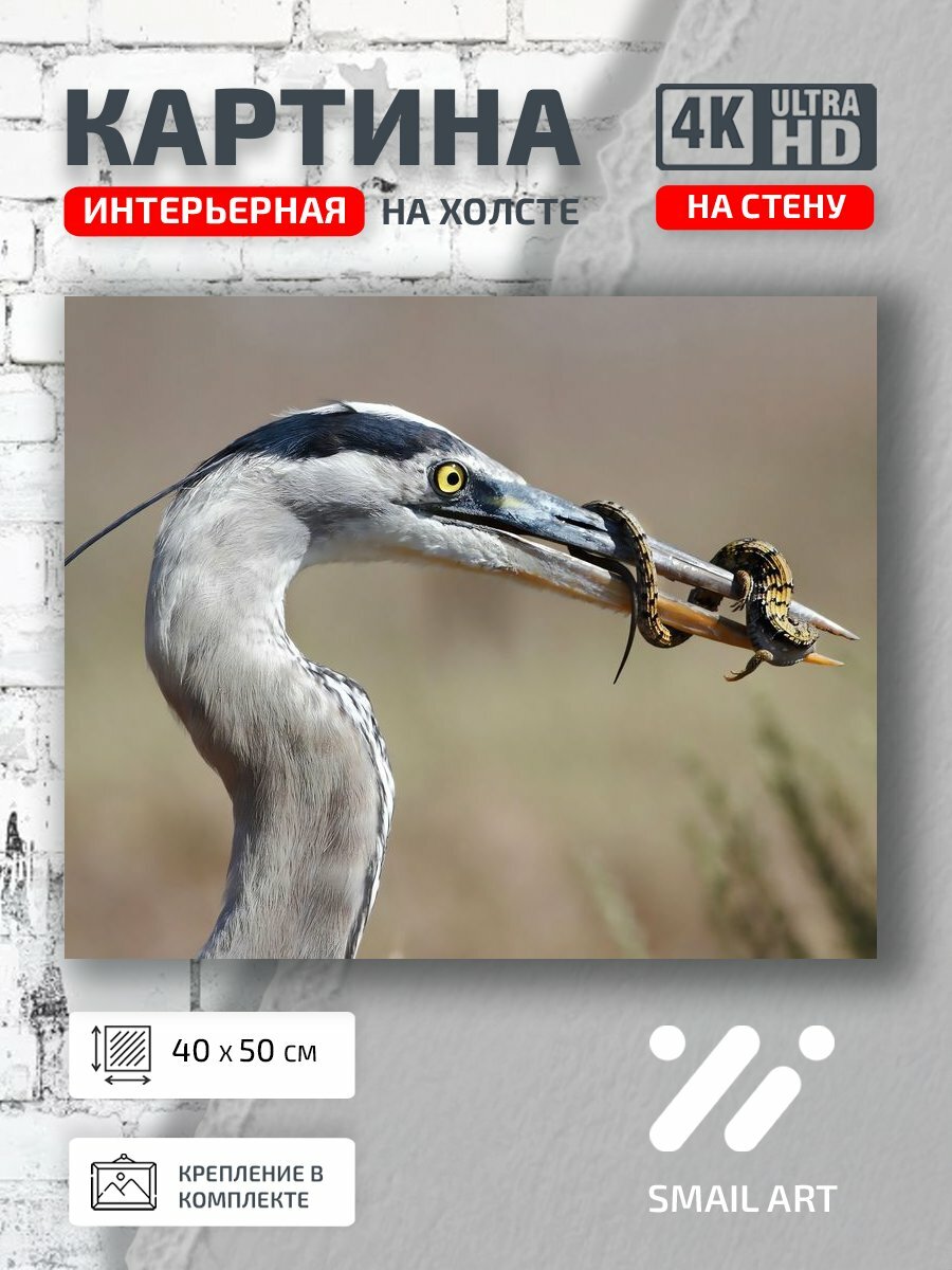 Картина на холсте интерьерная 40 на 50 на стену Ящерицей Animal для кабинета animal style