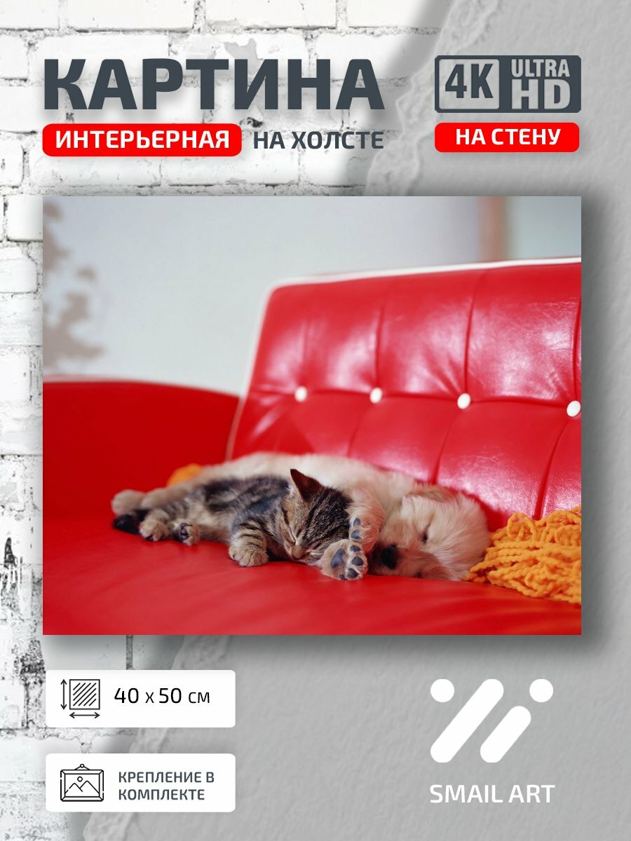 Картина на холсте интерьерная 40 на 50 на стену Диване Animal для детской animal style