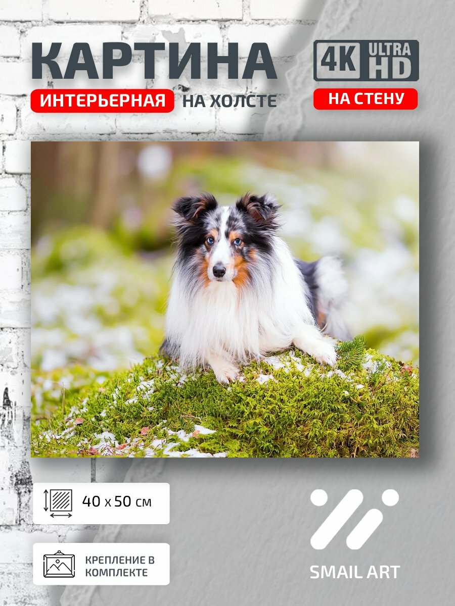 Картина на холсте интерьерная 40 на 50 на стену Собака Mood для офиса атмосфера интерьер