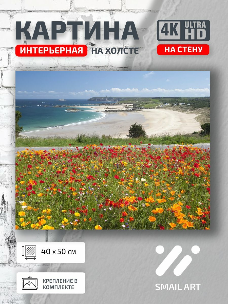 Картина на холсте интерьерная 40 на 50 на стену Цветы Landscape для кафе пейзаж интерьер