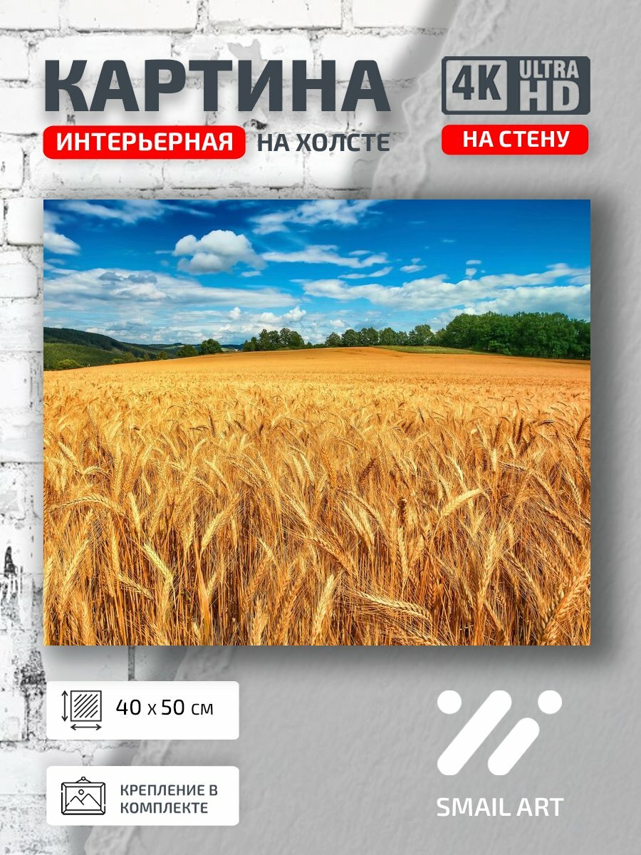 Картина на холсте интерьерная 40 на 50 на стену Облака Landscape для кафе пейзаж интерьер