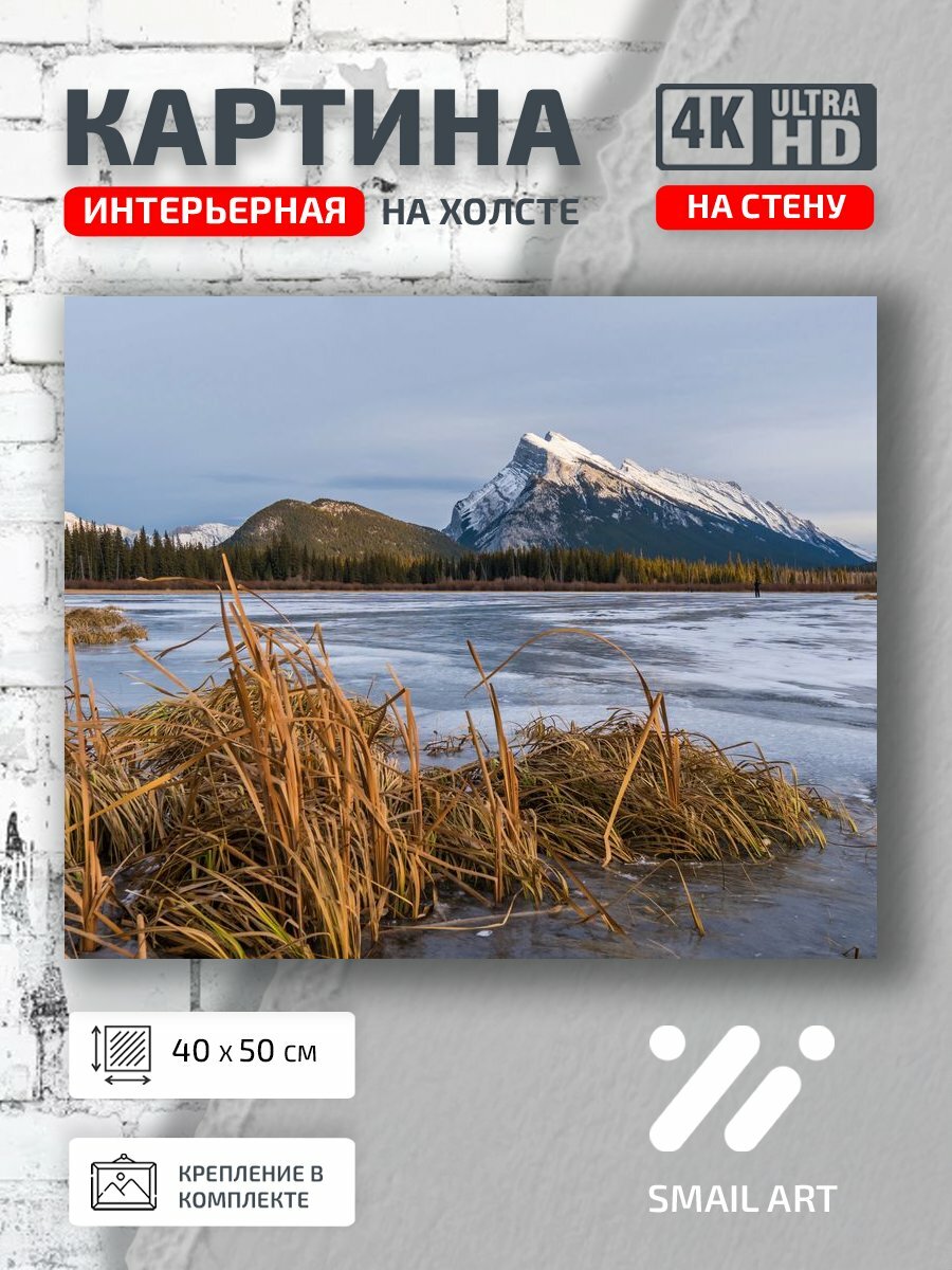 Картина на холсте интерьерная 40 на 50 на стену Зима Landscape для кафе пейзаж интерьер