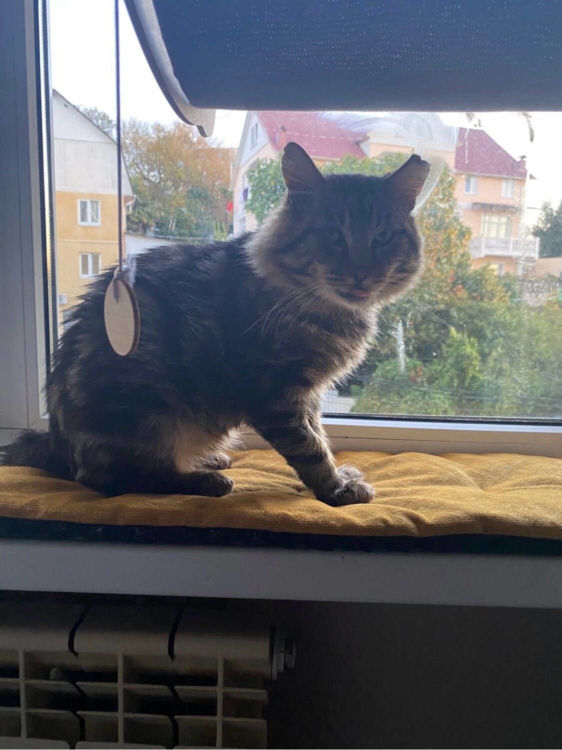 Лежанка 24*78 для кошек на узкий подоконник. Антискользящая.