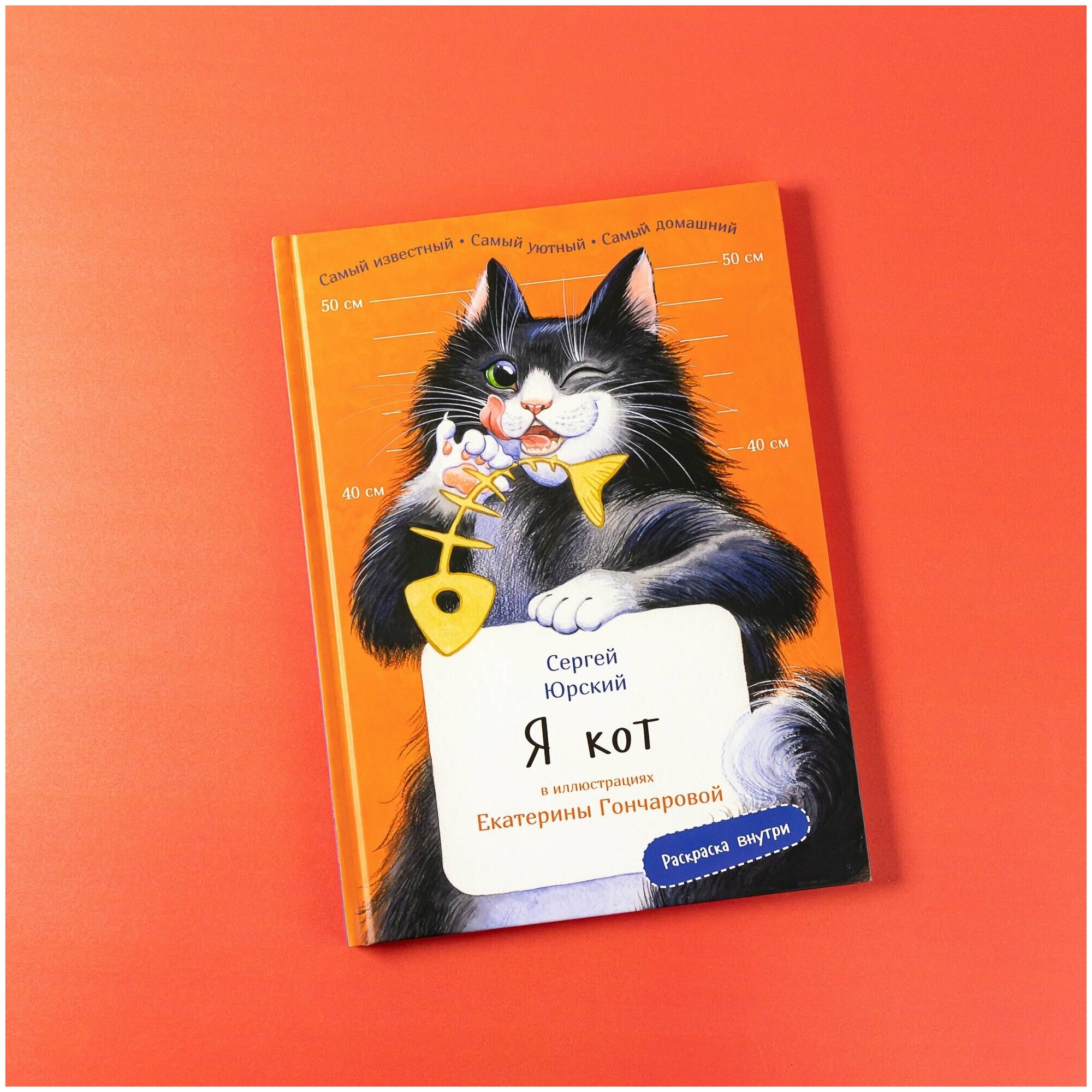 Я кот / Книги о животных / Детская раскраска | Юрский Сергей