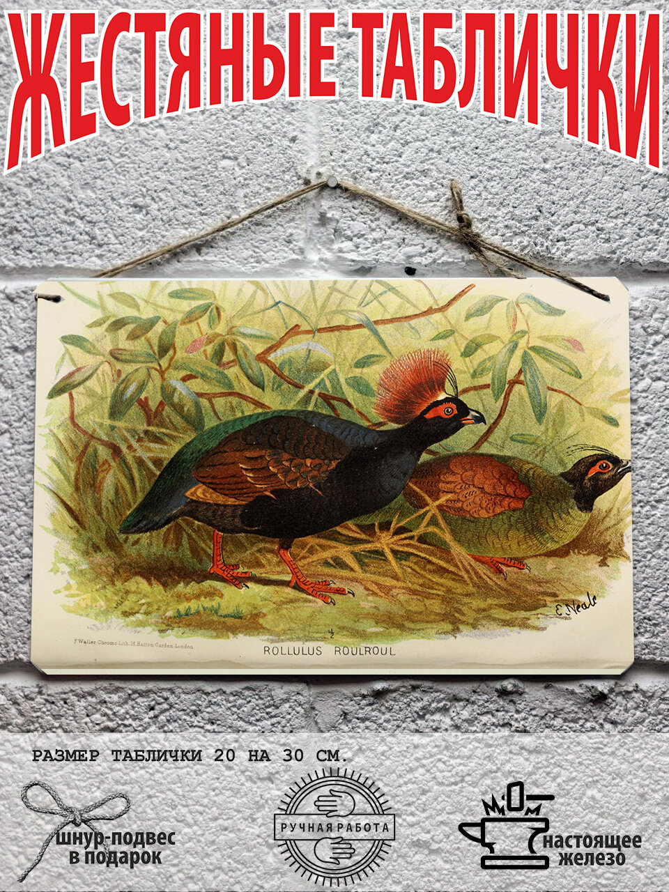 Куропатки, птицы постер 20 на 30 см, шнур-подвес в подарок