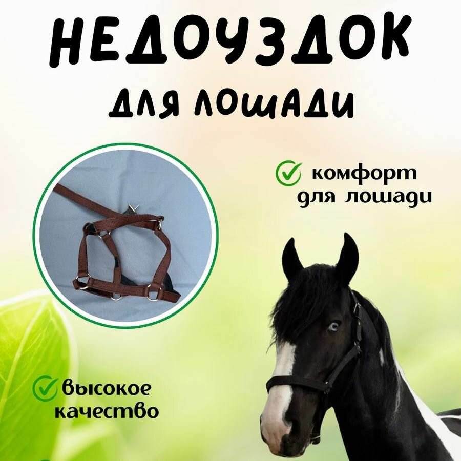 Недоуздок для лошадей коричневый Full