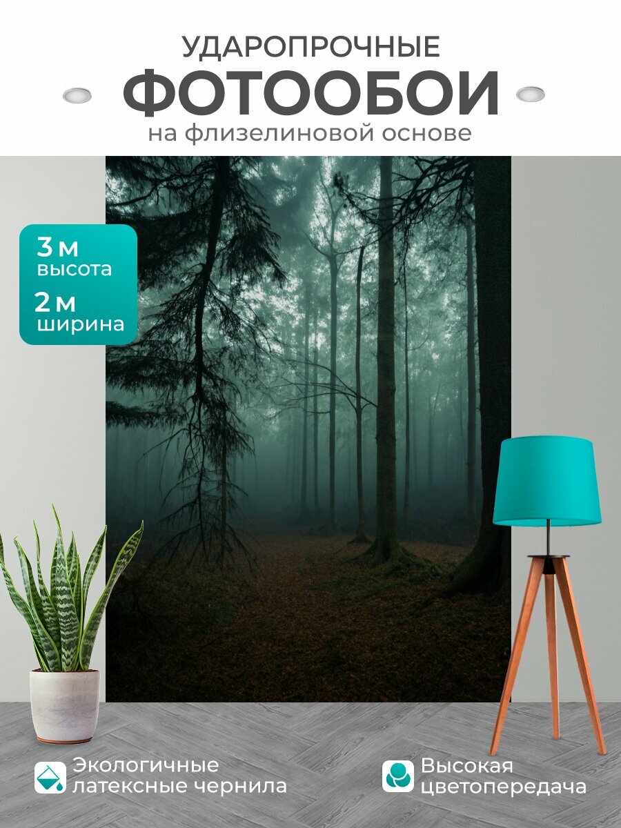 Фотообои моющиеся ударопрочные "Лес с черным лесом в тумане, загадочная атмосфера" 200x300 см. флизелиновые на стену