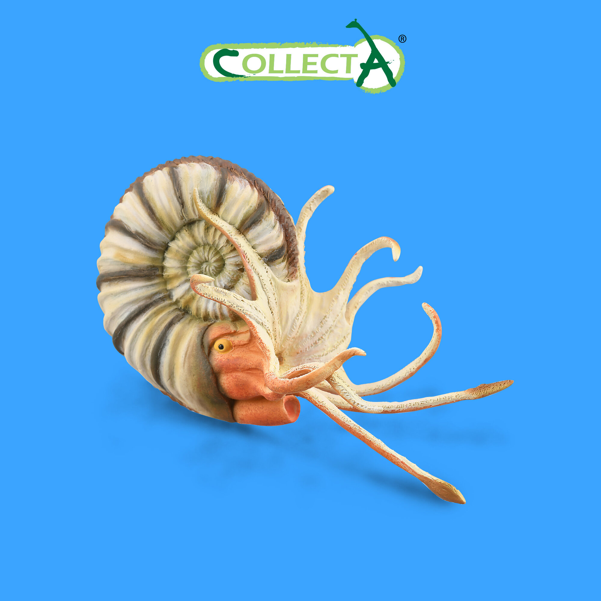Фигурка моллюска Collecta "Амонит" коллекционная, высота 7 см, 88902b