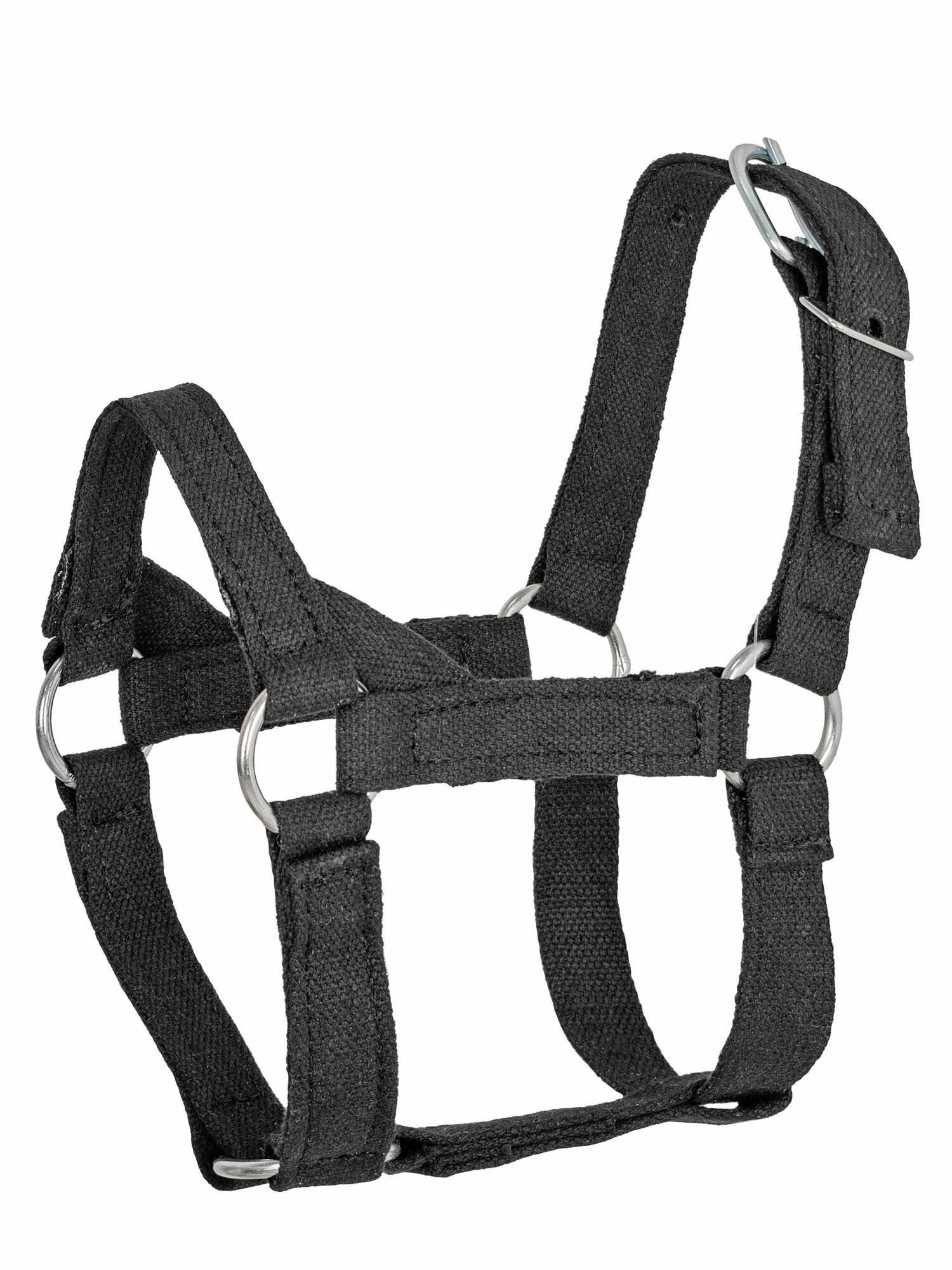 Недоуздок для жеребят тканевый, недоуздок без повода REITER 25 мм