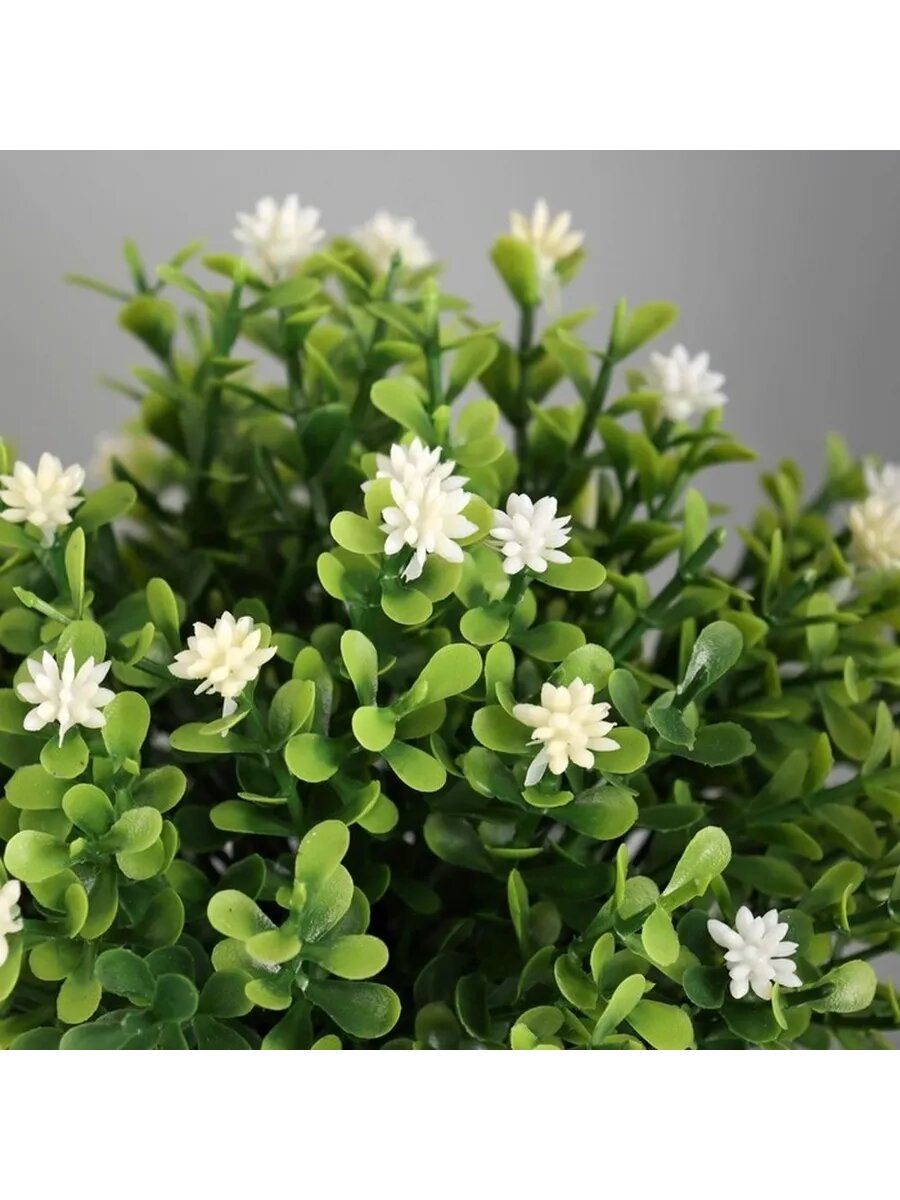 Элегантный бонсай в декоративном горшке